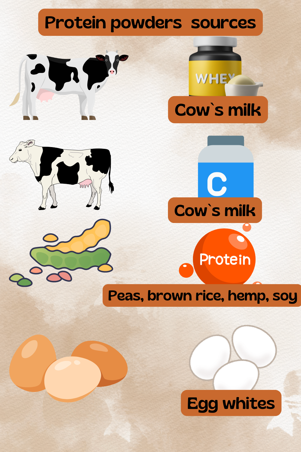 How is Protein Powder Made - The Making Process Explained