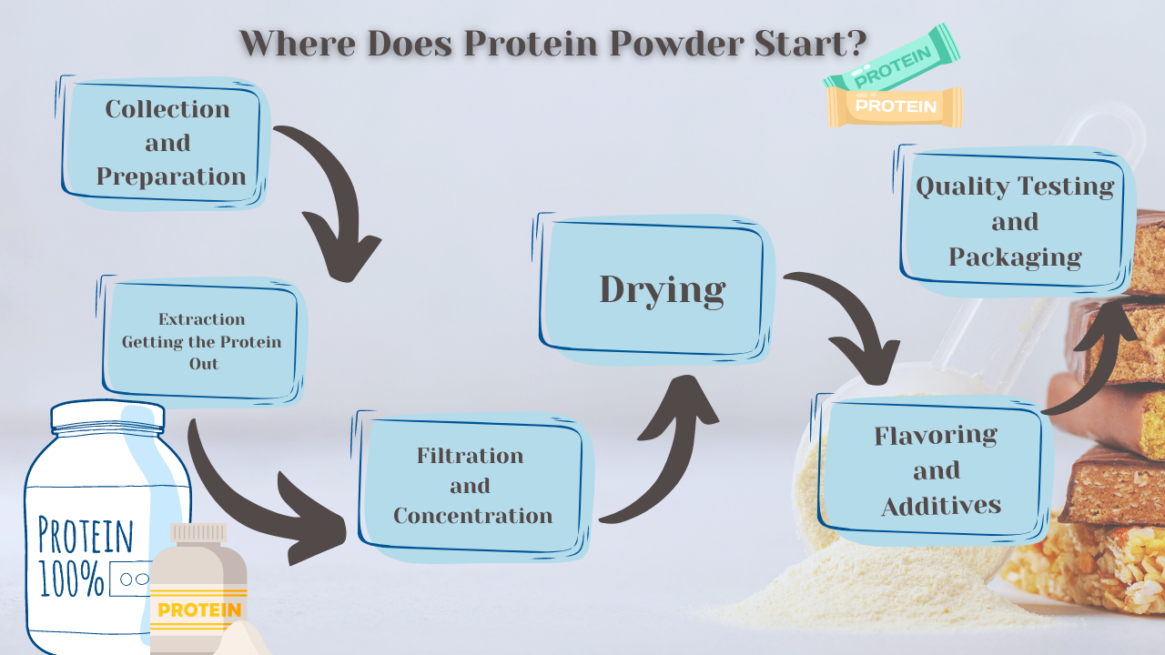 How is Protein Powder Made - The Making Process Explained