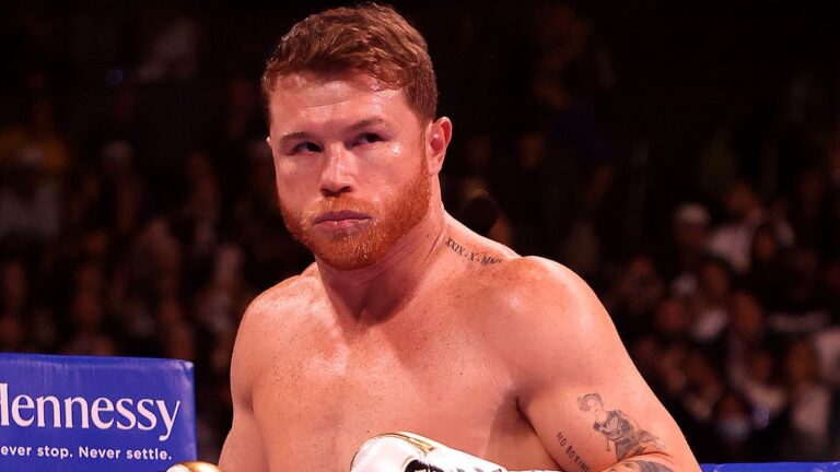 Canelo Alvarez Weight Class - Full Career Timeline - The Live Fit Girls