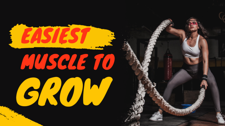 What Is the Easiest Muscle To Grow for Begginers?